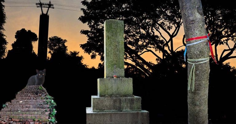Remembering Singapore's Famous Football Coach "Uncle" Choo Seng Quee ...
