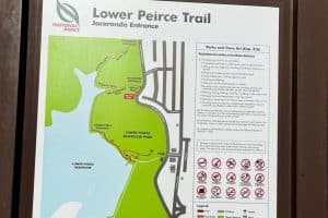 Enjoy An Easy Walk Along the Lower Peirce and Upper Peirce Trek ...