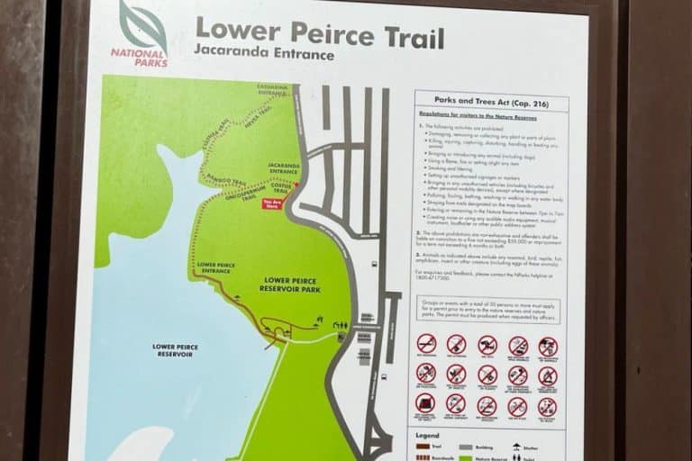 Enjoy An Easy Walk Along the Lower Peirce and Upper Peirce Trek ...