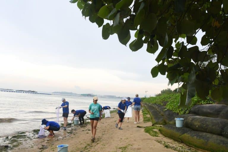Ocean Purpose Project Revives the Environment, from Pasir Ris and Beyond - SilverStreak
