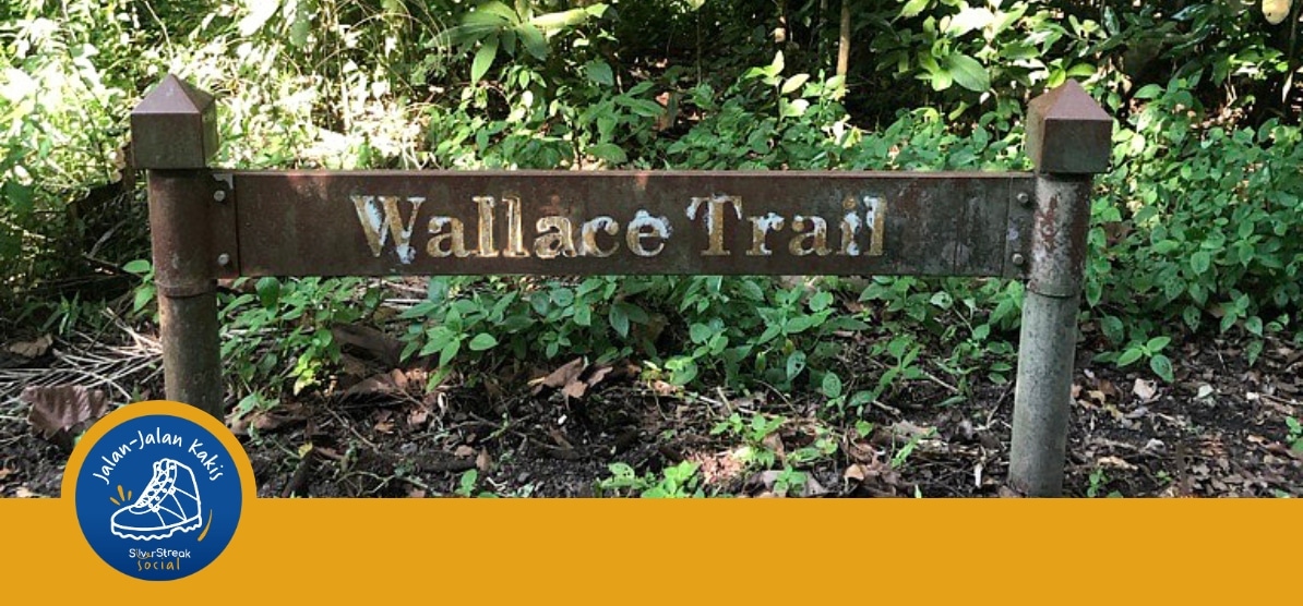 Homepage - SilverStreak