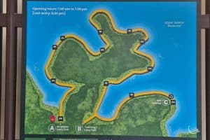 Mandai Boardwalk: How To Get To the Free Walk In Mandai Wildlife ...