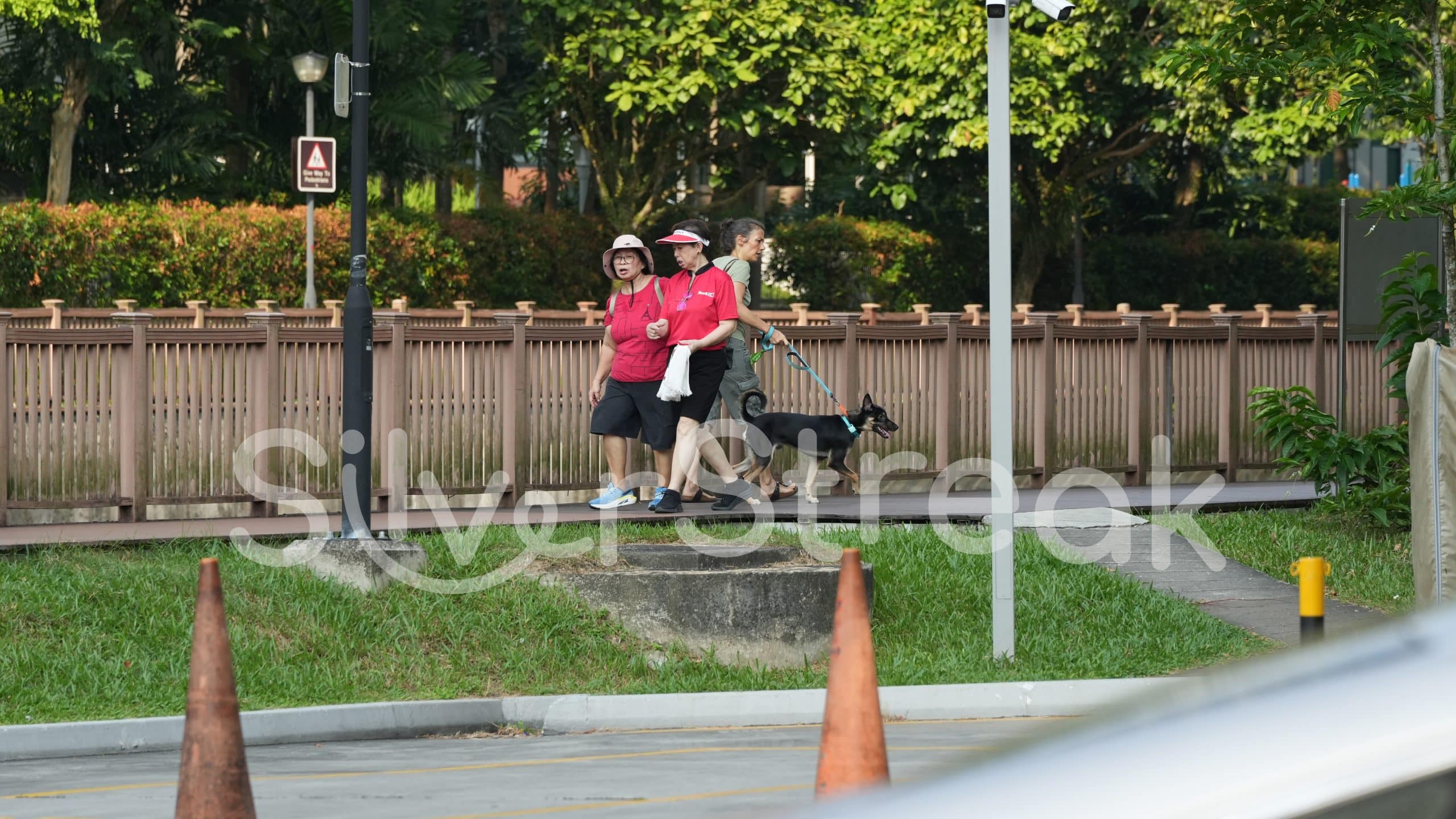 Jalan-Jalan Kakis - Alexandra Park Connector - SilverStreak