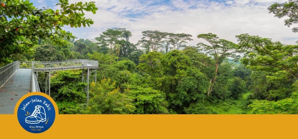 All About Chap Chye – From Nyonya Chap Chye To Lo Han Chye To Chap Chye ...