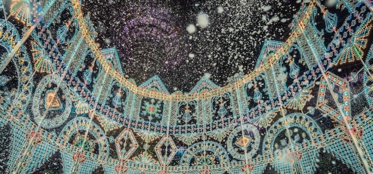 All About Chap Chye – From Nyonya Chap Chye To Lo Han Chye To Chap Chye ...