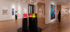 All About Chap Chye – From Nyonya Chap Chye To Lo Han Chye To Chap Chye ...