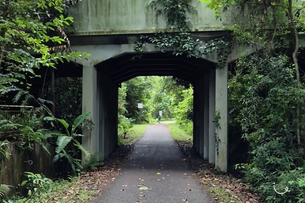 Guide To Rail Corridor South: Easy Trekking In Verdant Greenery Along ...